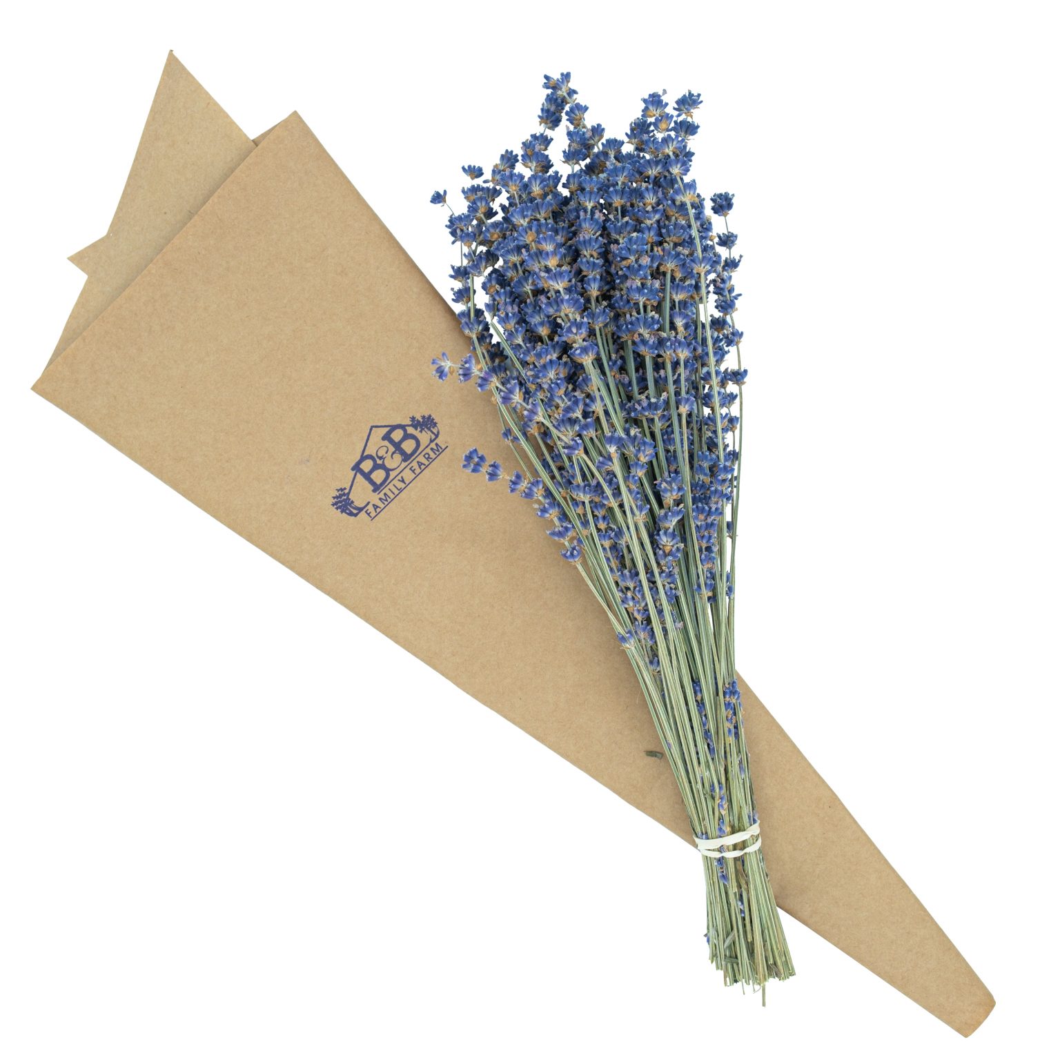 Lavender vs Lavandin: What’s the Difference (and Which Is Better?)