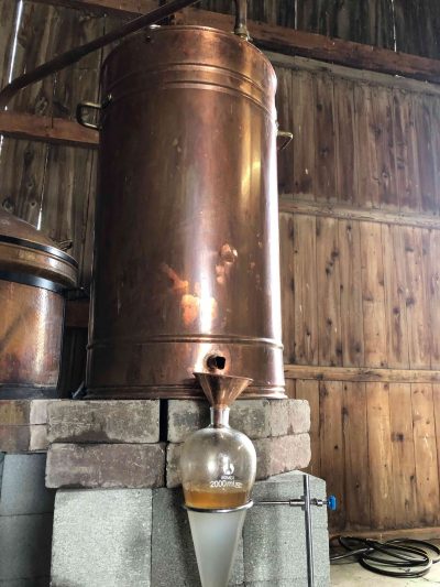 How to Distill Lavender Essential Oils | B&B Family Farm