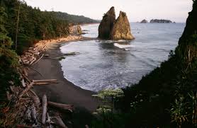 20 Best Things to Do on the Olympic Peninsula (Local Guide 2026)
