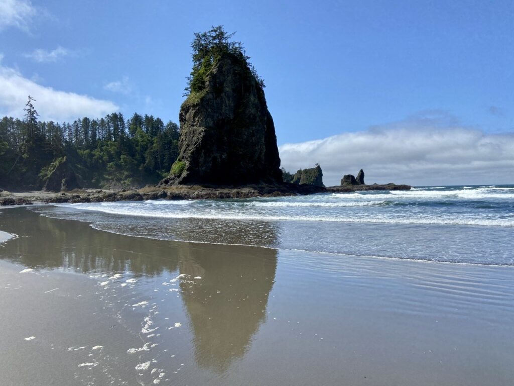 20 Best Things to Do on the Olympic Peninsula (Local Guide 2026)